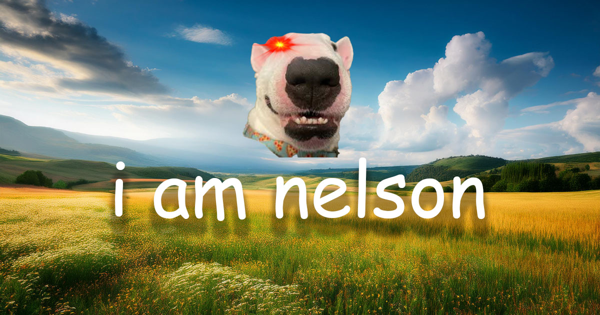 $NELSON | The Laughing Husky Meme Coin on Solana 🐕😆